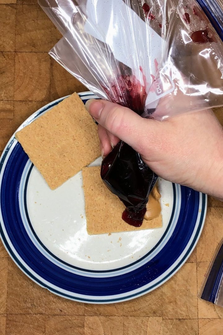 Peanut Butter & Jelly Graham Cracker Sandwich - My WordPress